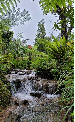 Adventure - Rasamala campsite