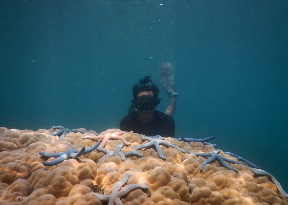 Adventure - Pulau Tunda