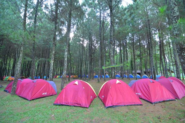 Adventure - Pinus Camp Songgon